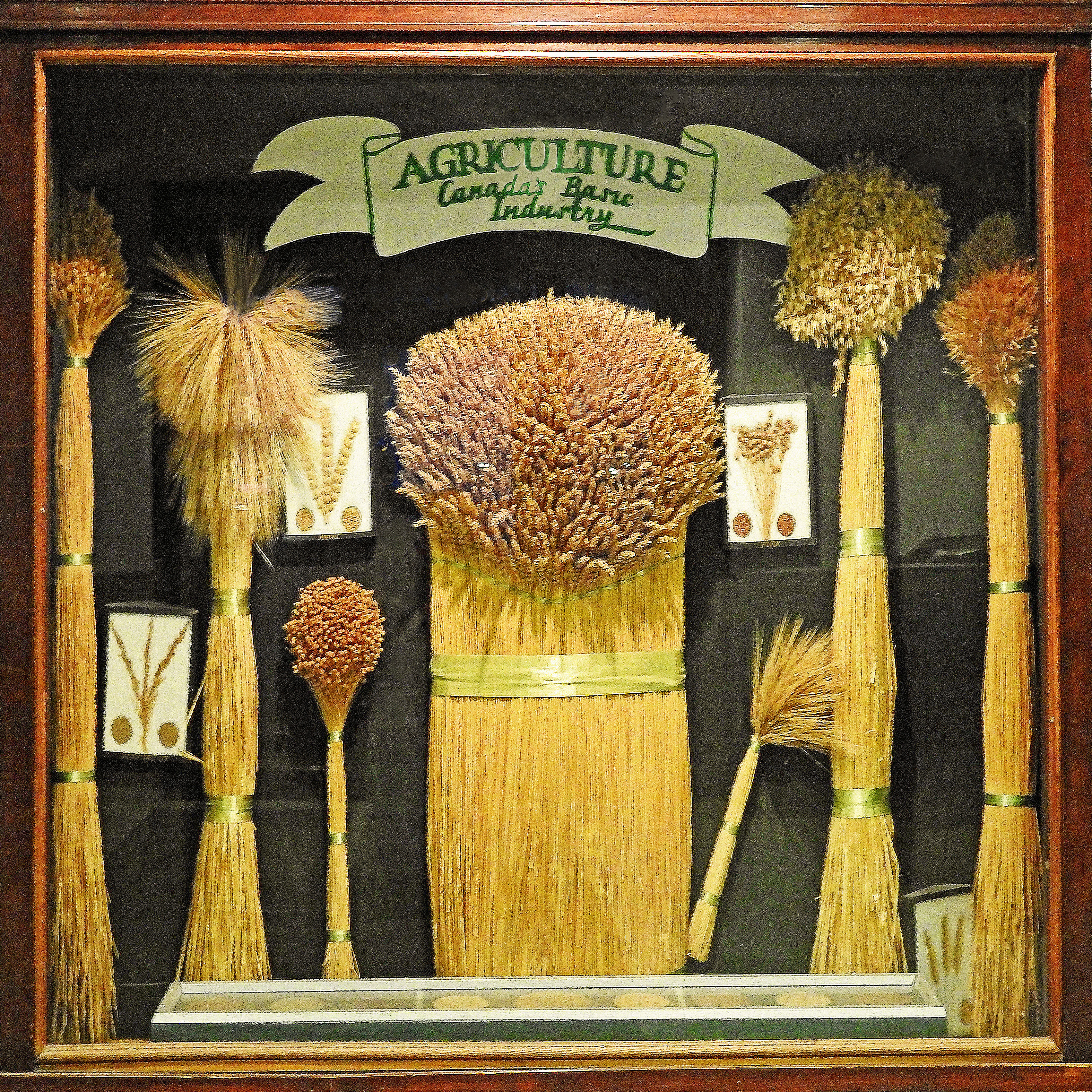 Western District Historical Society | Western Grains Exhibit at ...